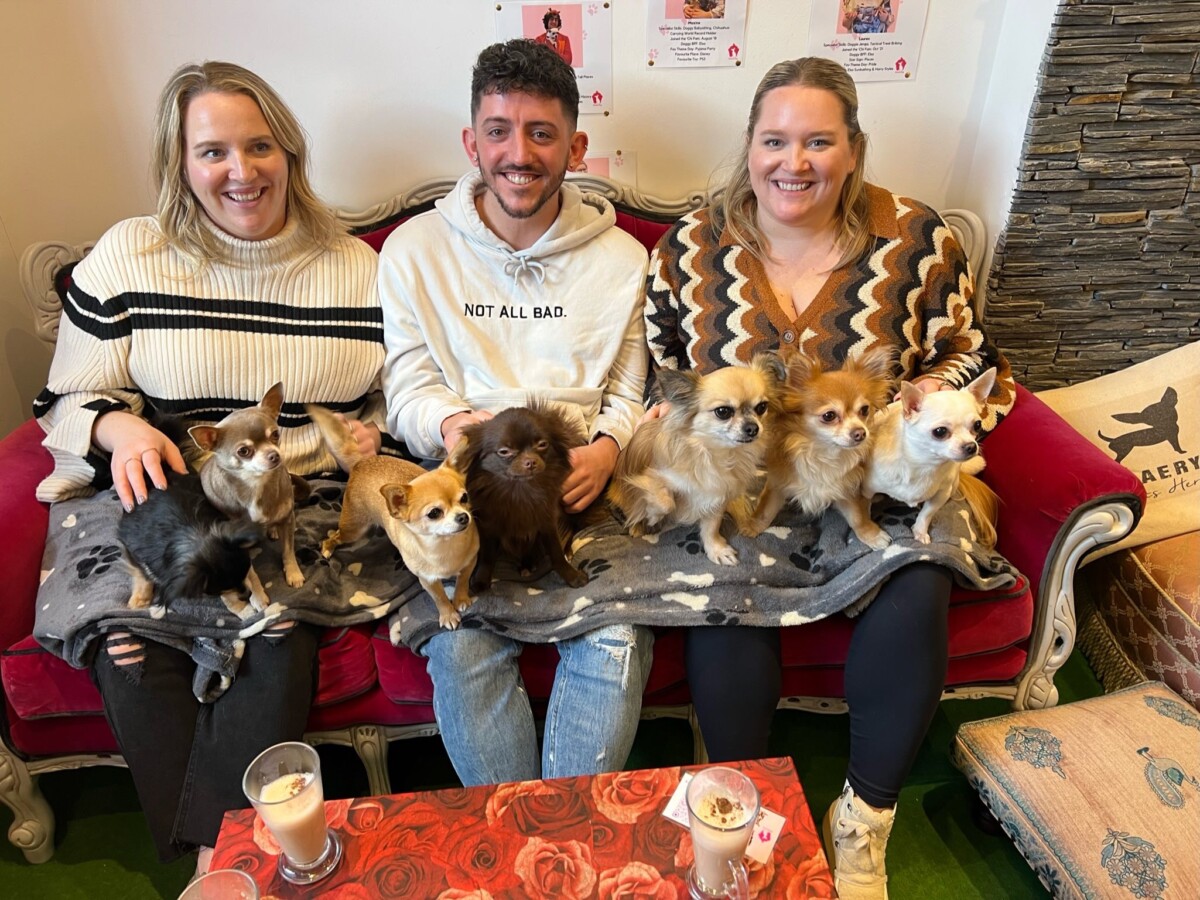 What it’s really like to visit Edinburgh Chihuahua Cafe | Jadescapades