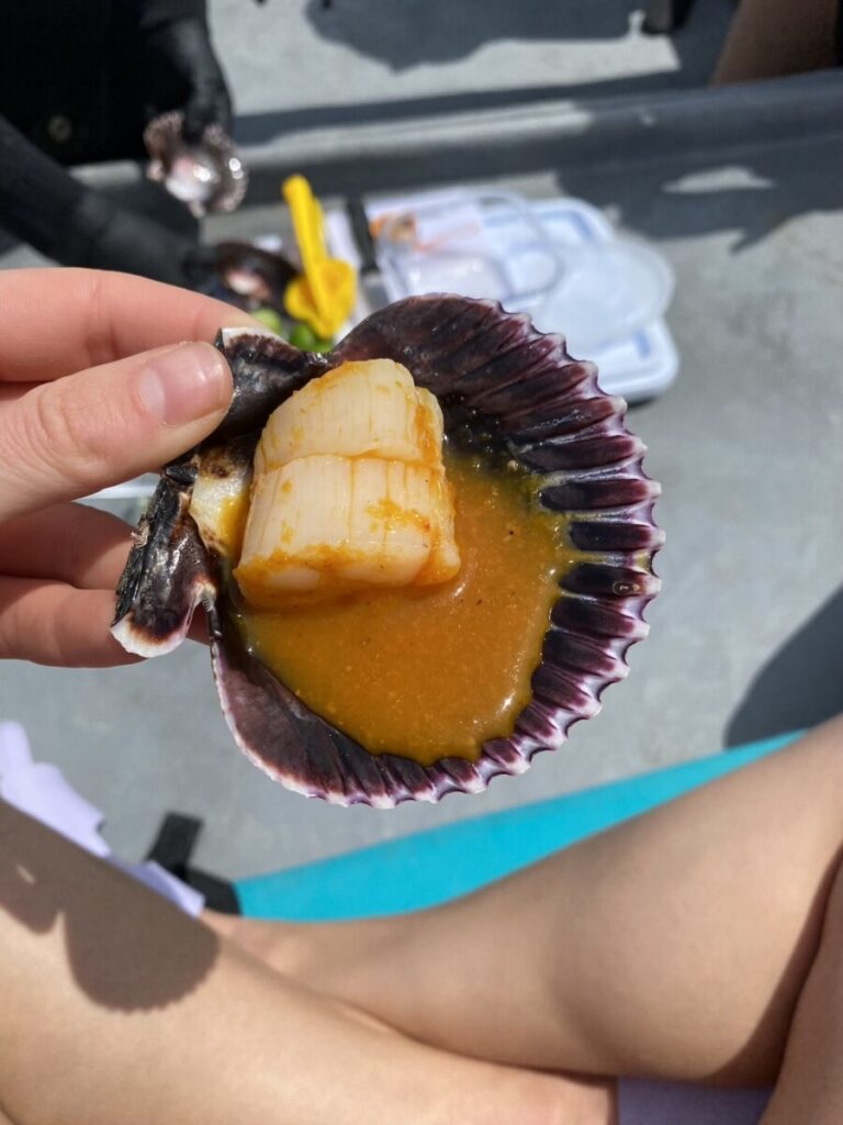 Skip Ballestas Islands: Do This Authentic Paracas Scallop Tour